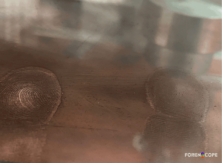 What is a Fingerprint? - RollsTechGlobal