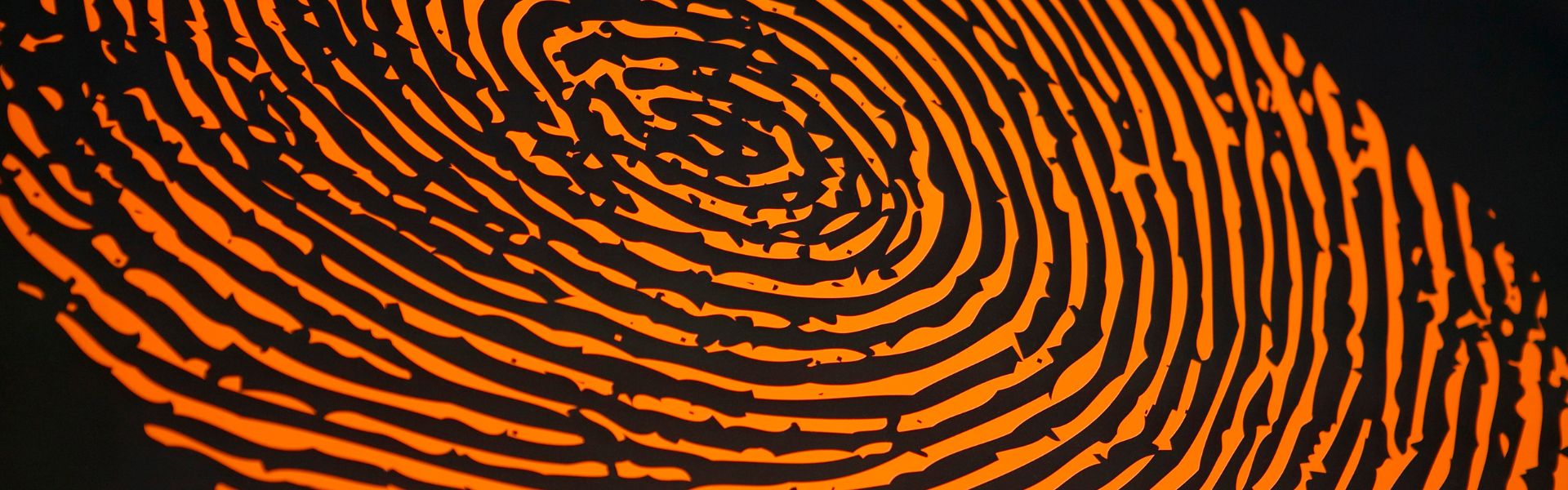 Forenscope’s t-DNA ZOOM device - RollsTechGlobal