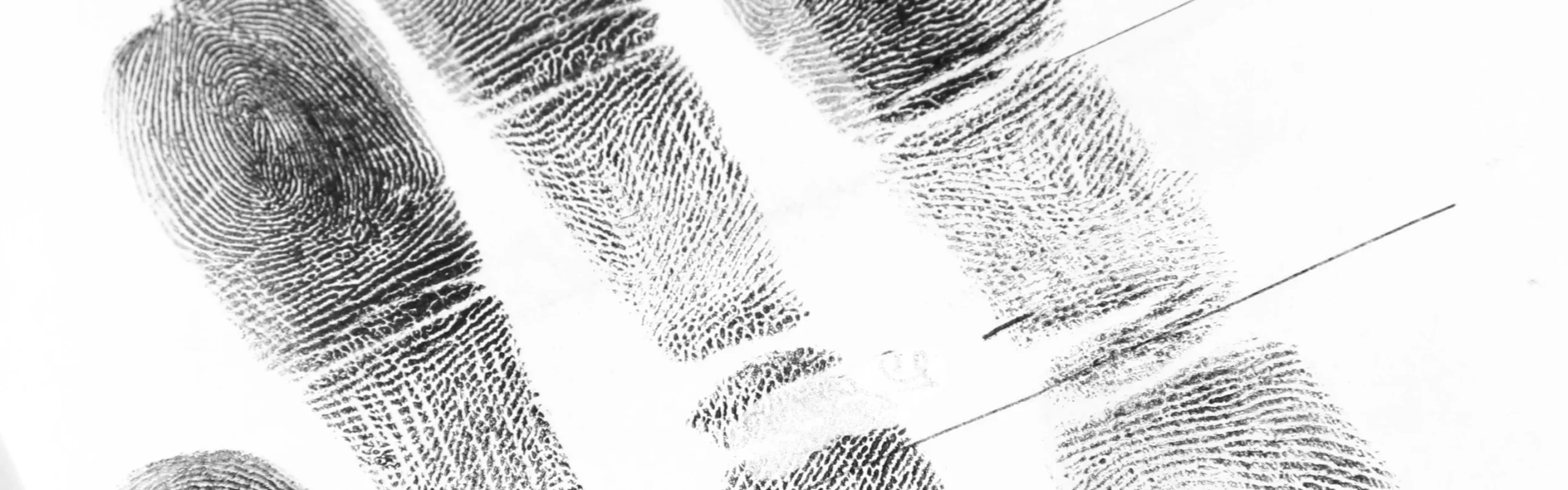 Insight: Gel Lifted Fingerprint Breakthrough Could Help Solve Cold ...